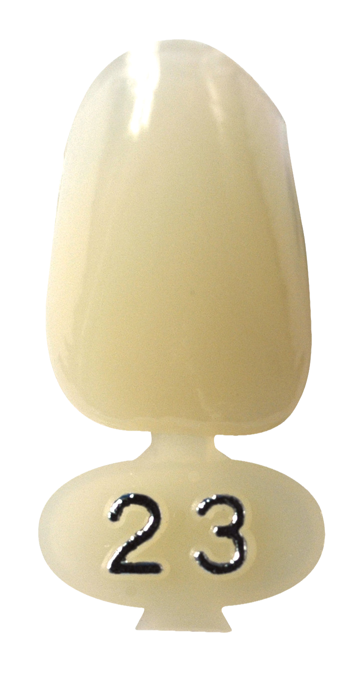 DEHP DEHP Temporary Crown Refill 23 110716 - Kent Express