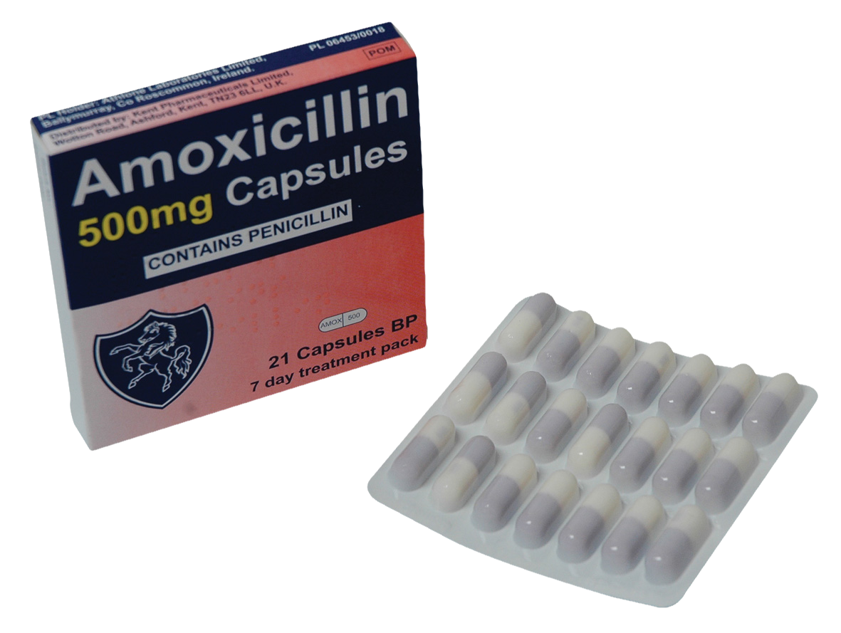 Brown & Burk Amoxicillin Caps 500mg 21pk 44109 - Kent Express